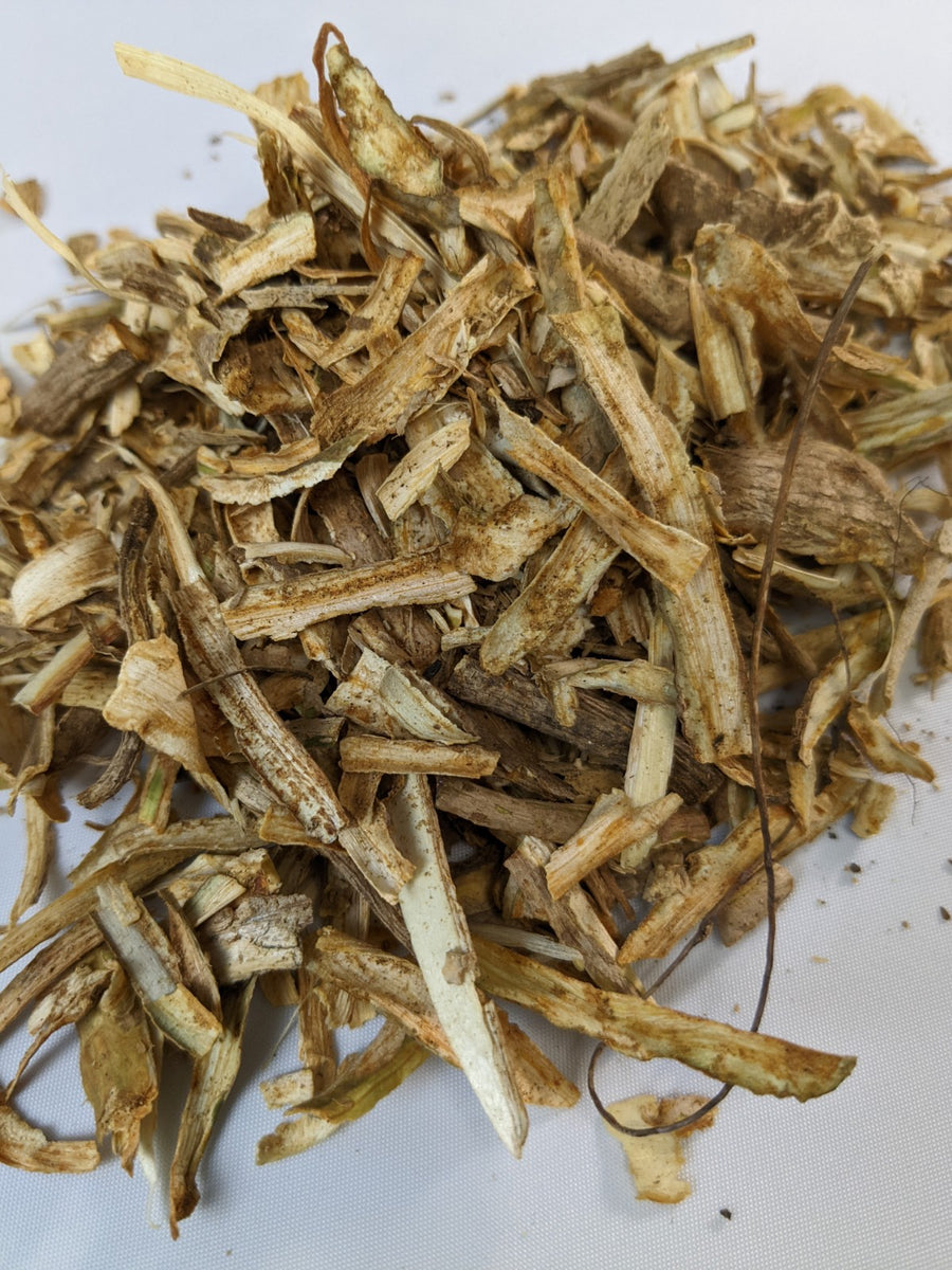 Devil's Club Root Bark – Harts Lake Trading Post