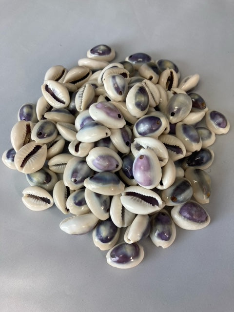 Cowrie Shells - drilled – Harts Lake Trading Post